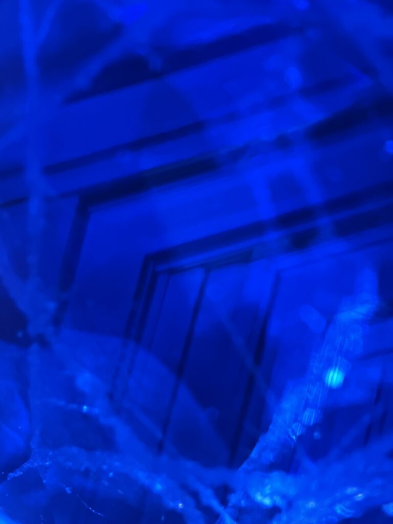 Understanding Inclusions workshop – GCS